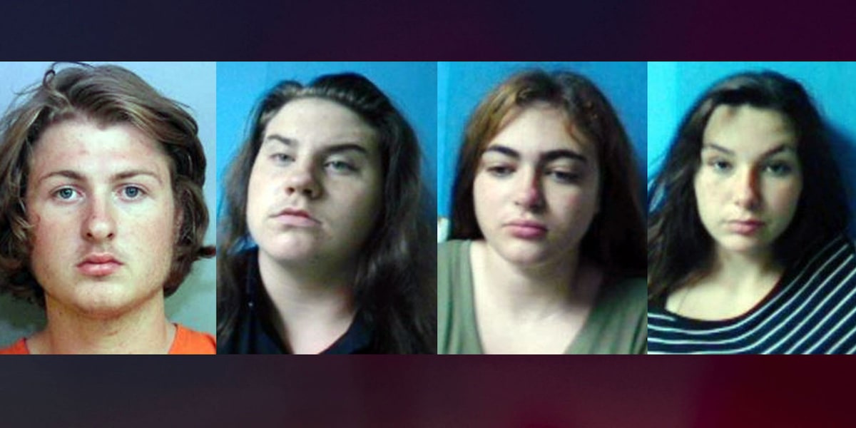 Florida teens charged with attacking romantic rival, running over ...