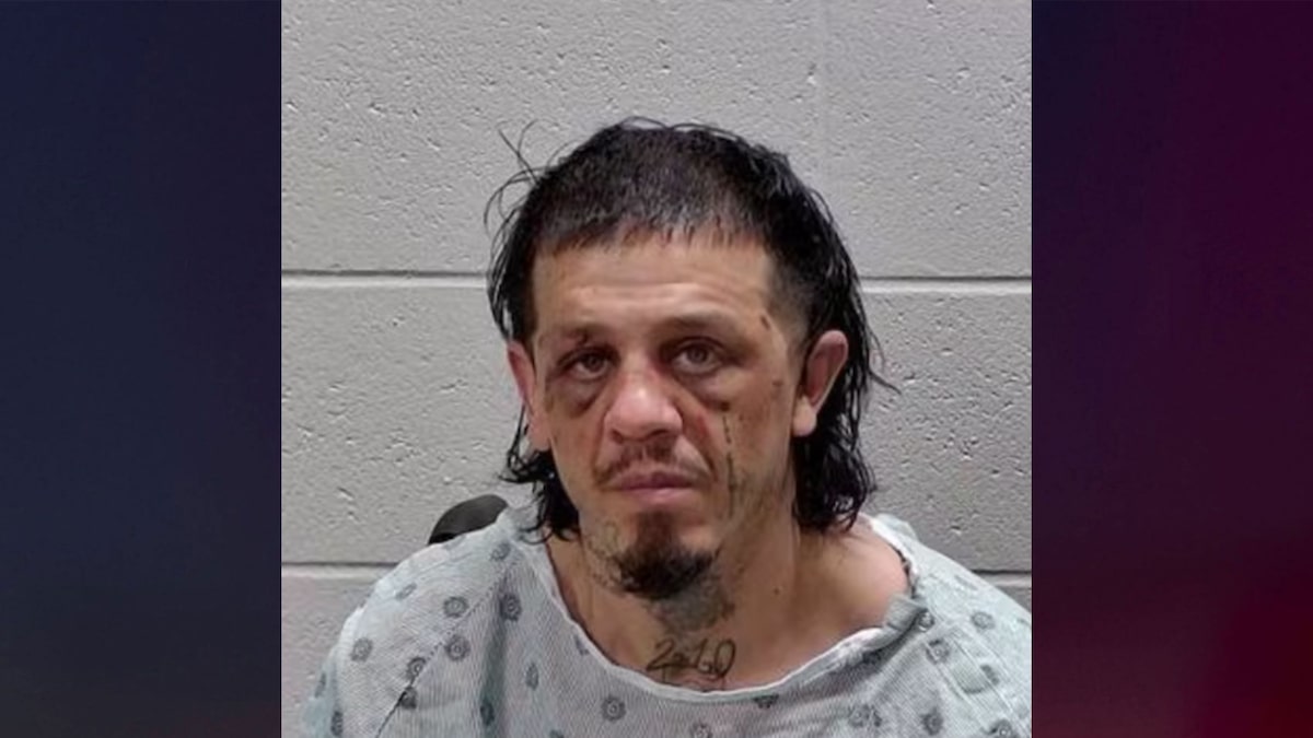 3-year-old boy fatally shot during hostage situation in Illinois mobile ...