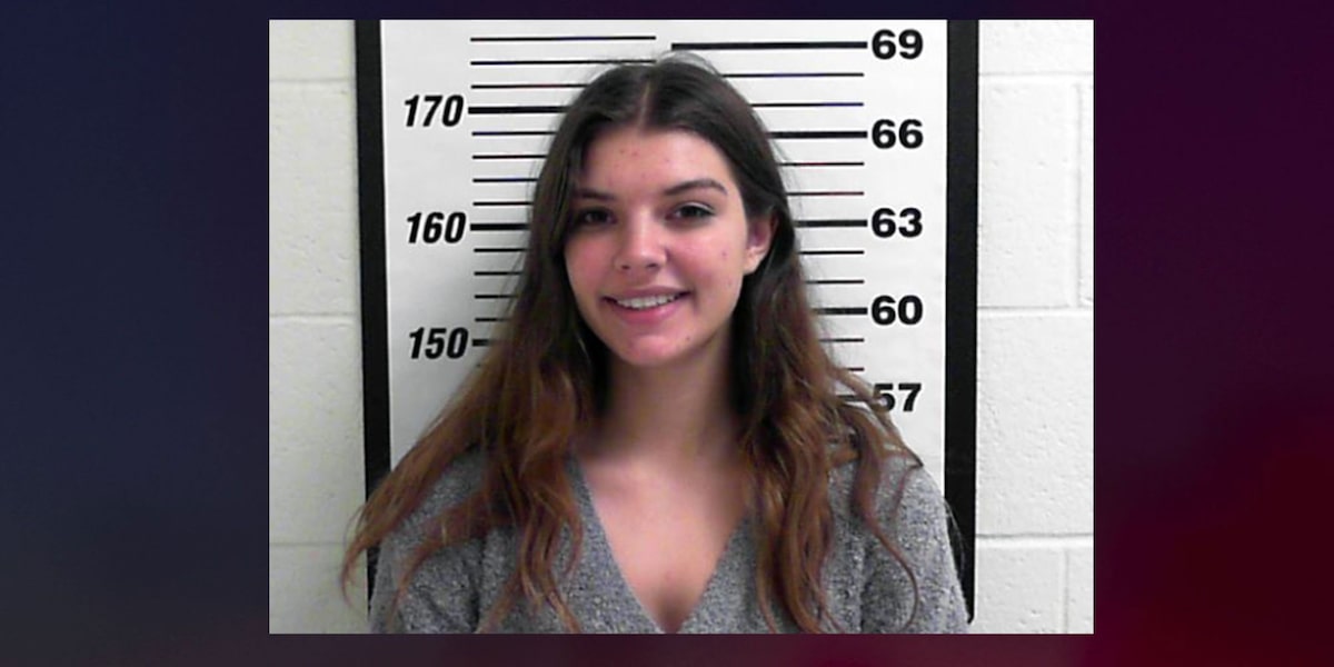 Utah teen arrested for 20 felony counts after allegedly burglarizing ...