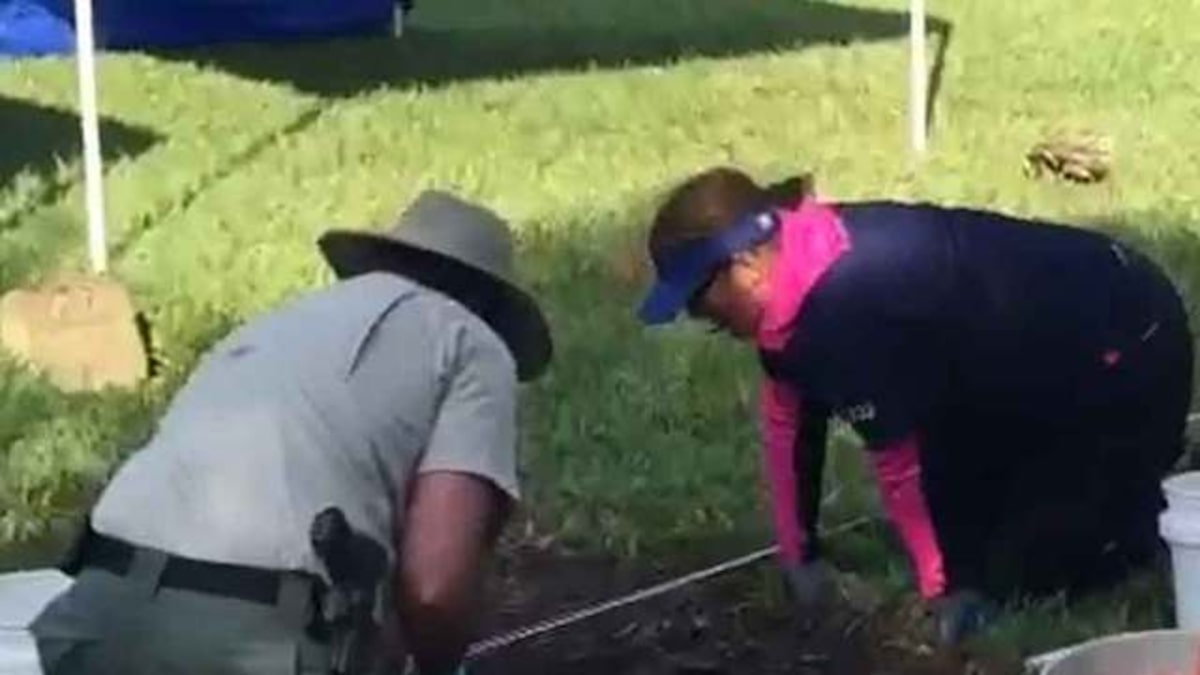 Bodies of infants exhumed in 'Baby Moses' cold case